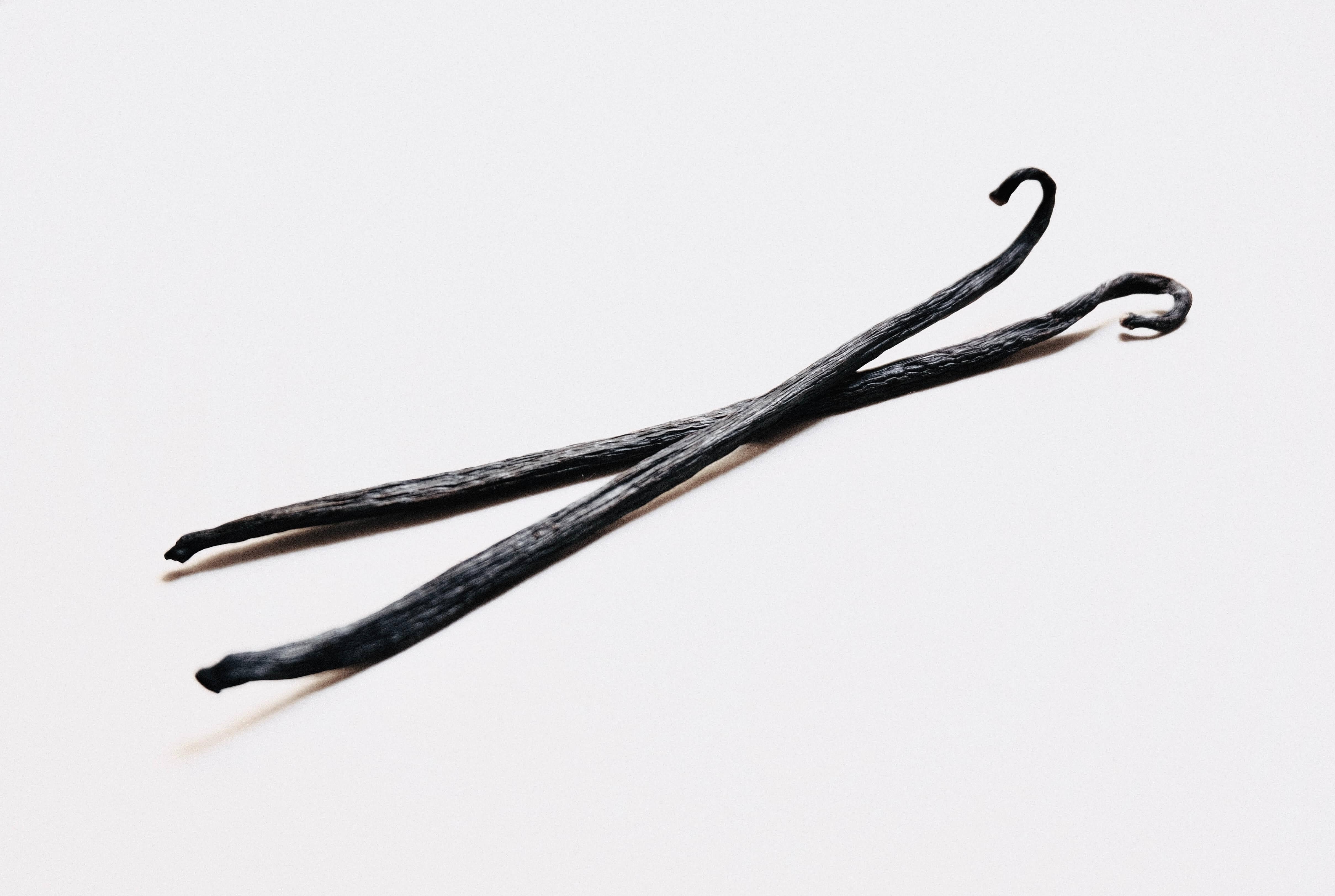 Excellence Bourbon : Vanille Gourmet de Madagascar 15-18cm – Excellence ...
